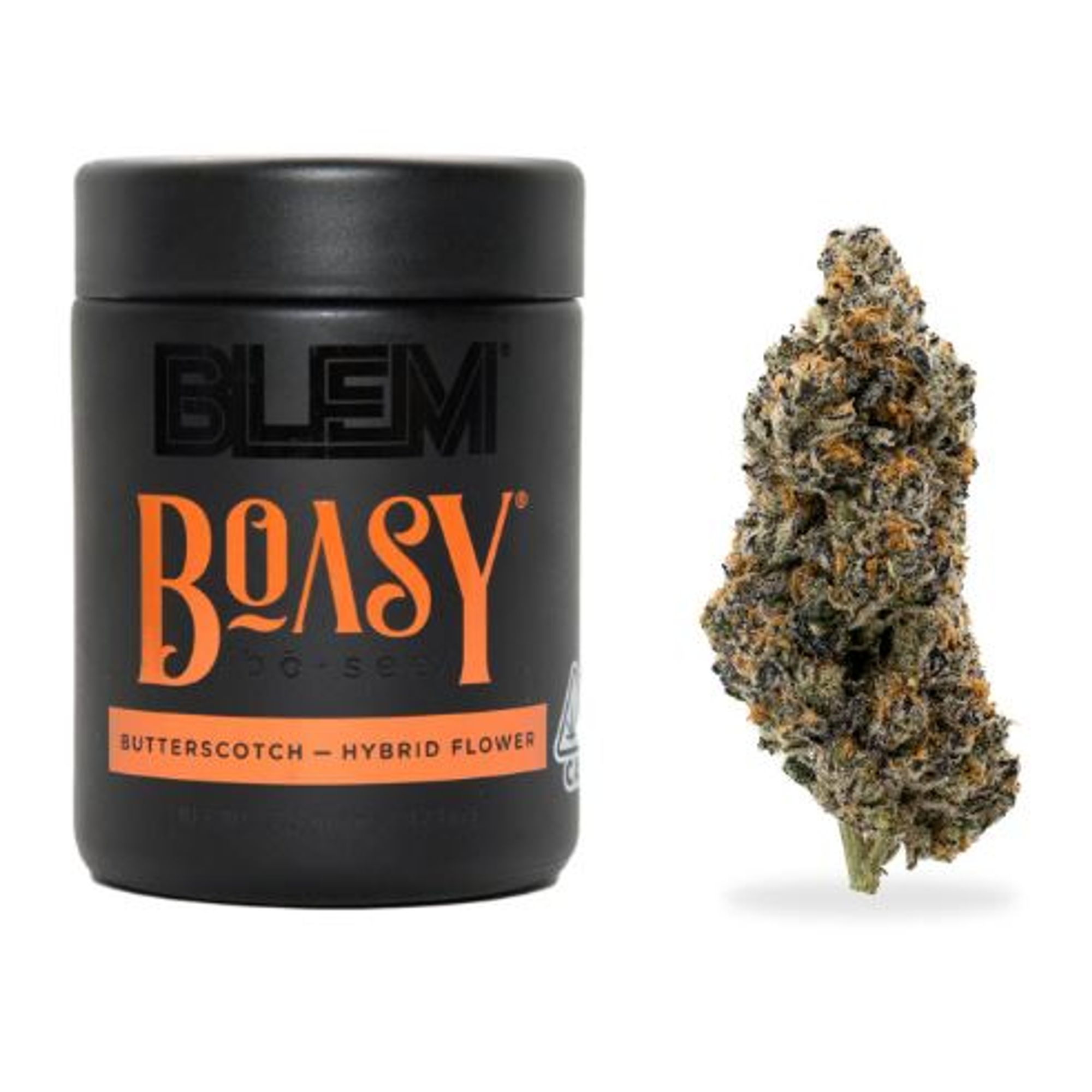 Blem-Exotic Indoor-Boasy